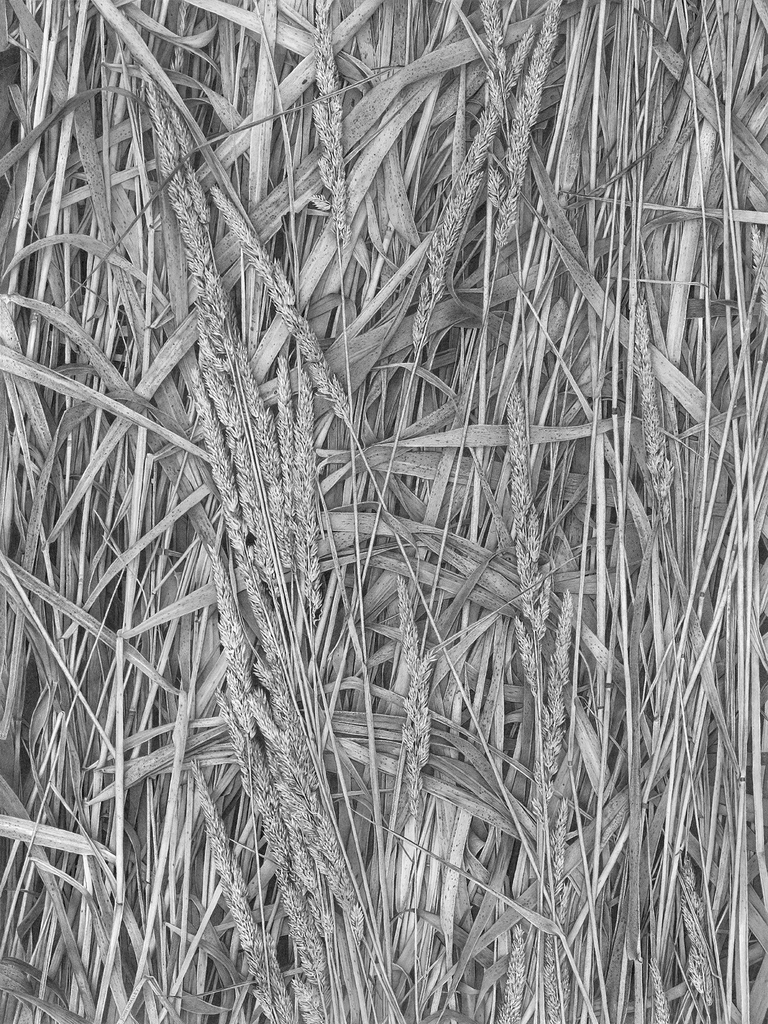 John Whalley — Greenhut Galleries