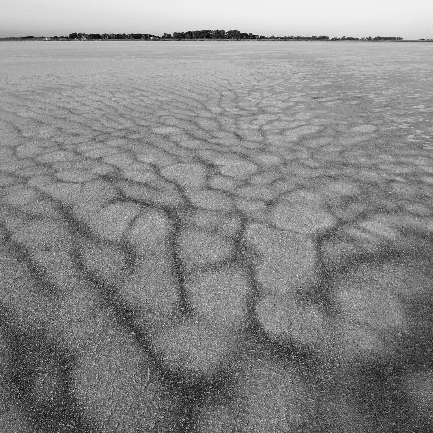 Great Salt Plains State Park, Oklahoma — MERRILL THOMAS PHOTOGRAPHY