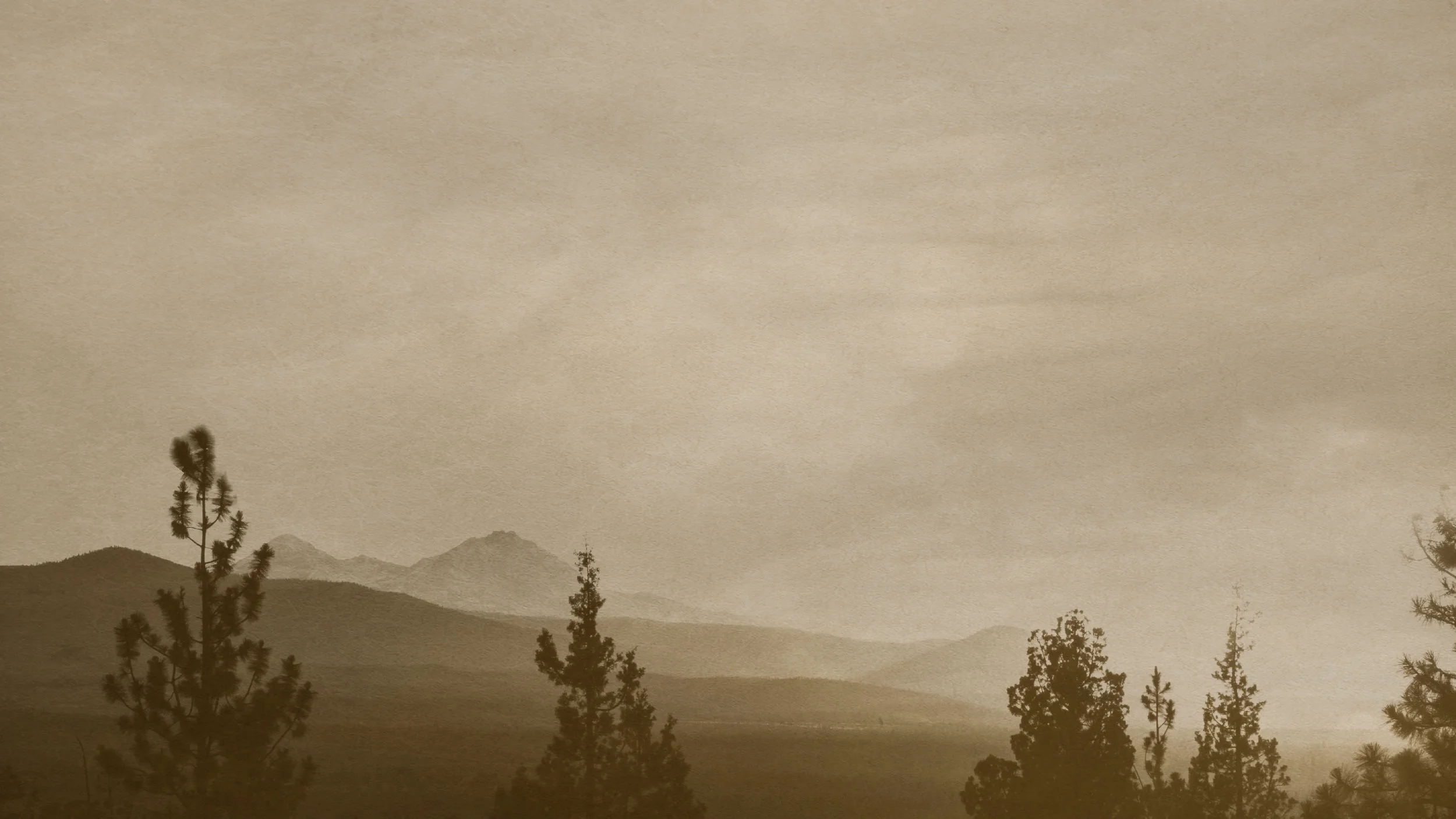 Monkless Belgian Ales