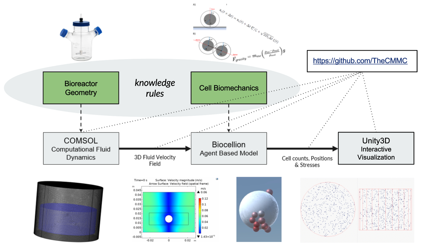 Multiscale modeling of bioreactors — Cultivated Meat Modeling Consortium