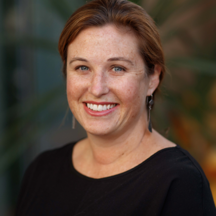 Economic Development Webinar — NMIIC