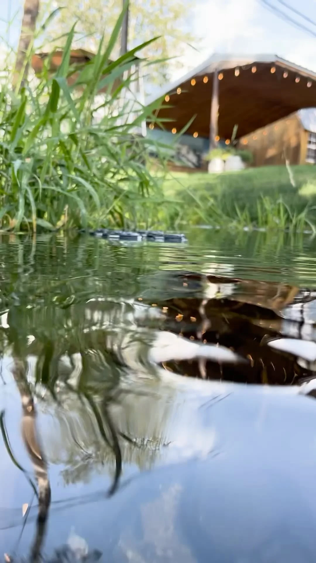 Terminal Gravity Brewing