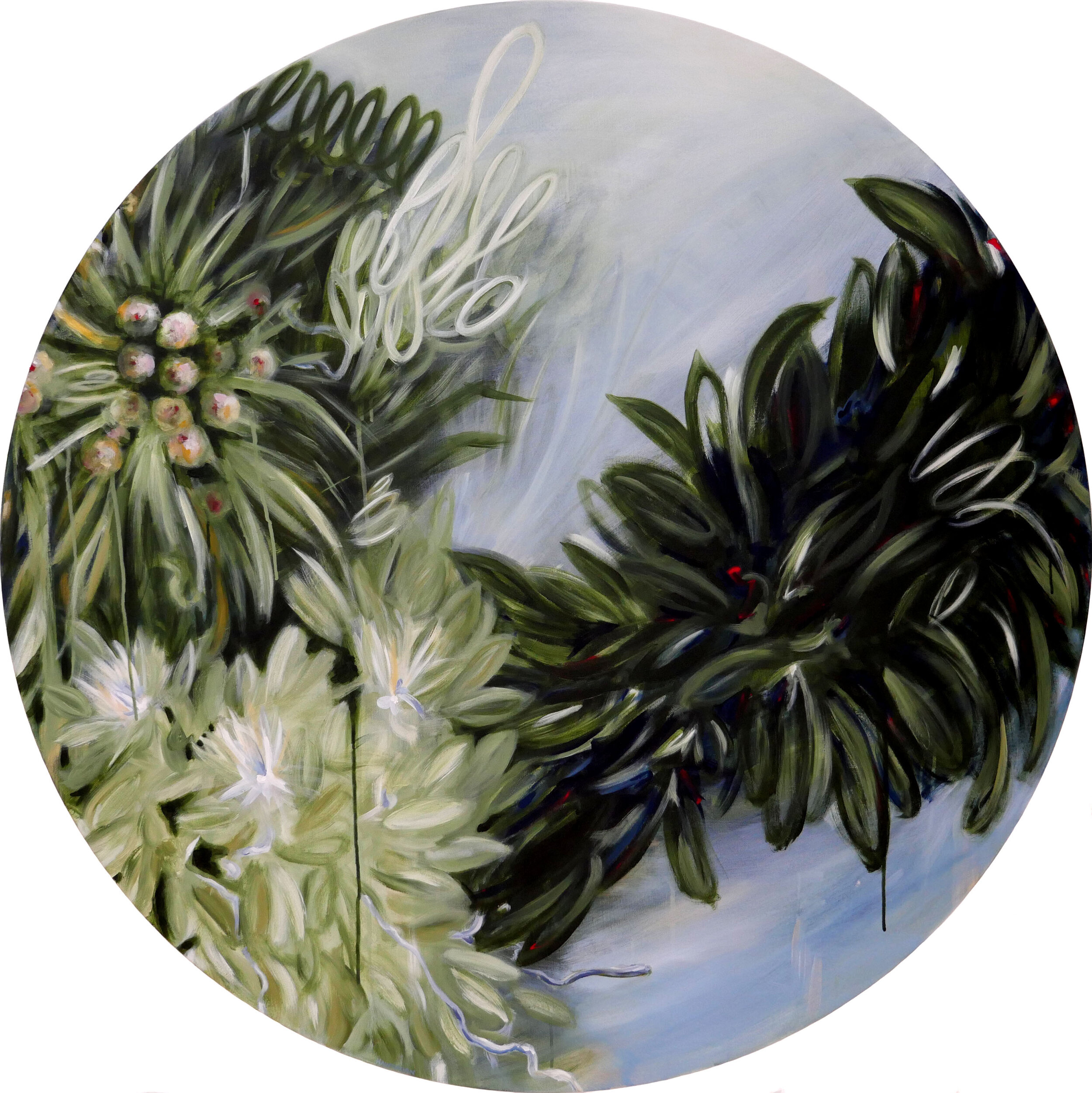 Shop — Rebecca Hawthorn