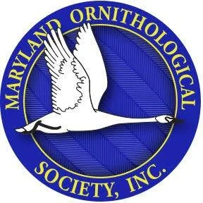 Birding in DC — DC Bird Alliance