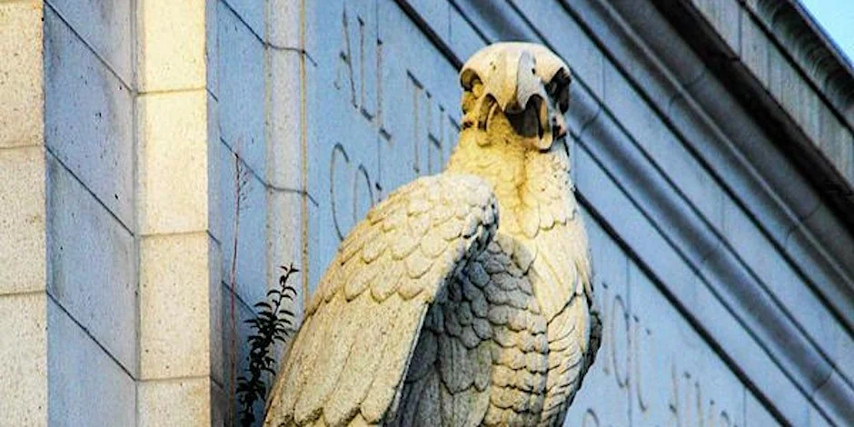 FIELD TRIPS & EVENTS — DC Bird Alliance