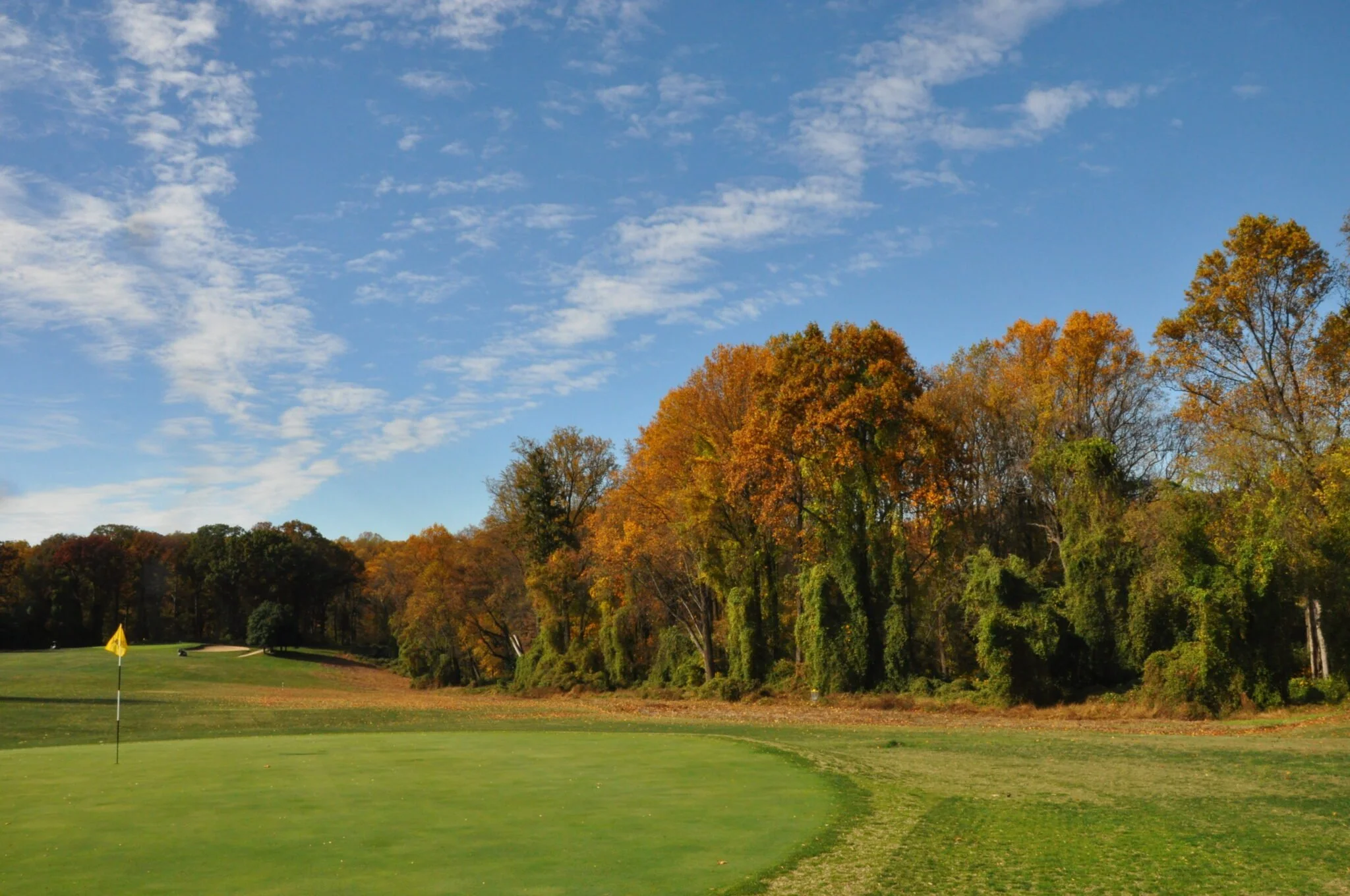 FIELD TRIPS & EVENTS — DC Bird Alliance