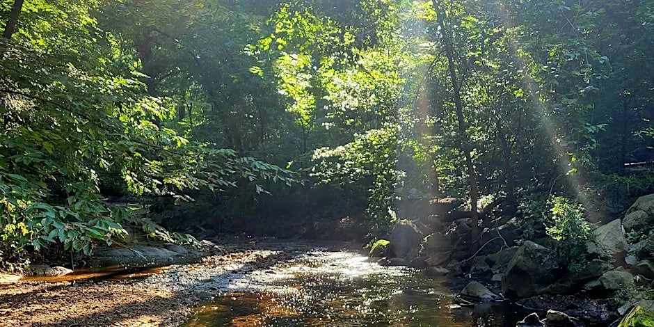 FIELD TRIPS & EVENTS — DC Bird Alliance