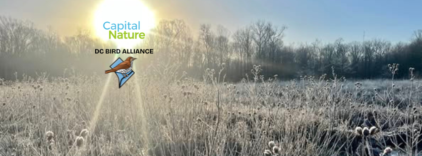 FIELD TRIPS & EVENTS — DC Bird Alliance