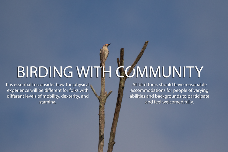 Become A Bird Guide — DC Bird Alliance