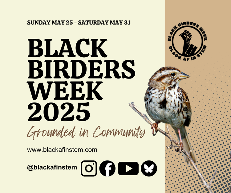 President's Perch — DC Bird Alliance