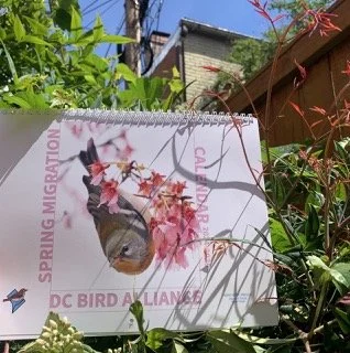 DC Bird Alliance
