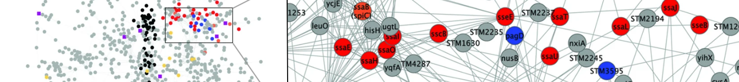 Multi-omics Analysis — Australian BioCommons
