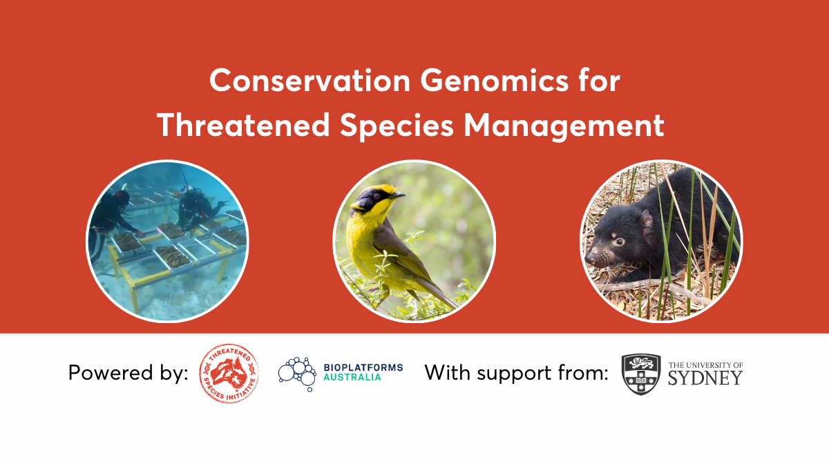 New online tutorials embed genomics into conservation management decisions — Australian BioCommons