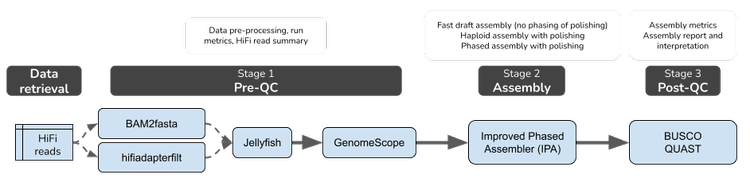 A new best-practice workflow for easy and efficient genome assembly ...
