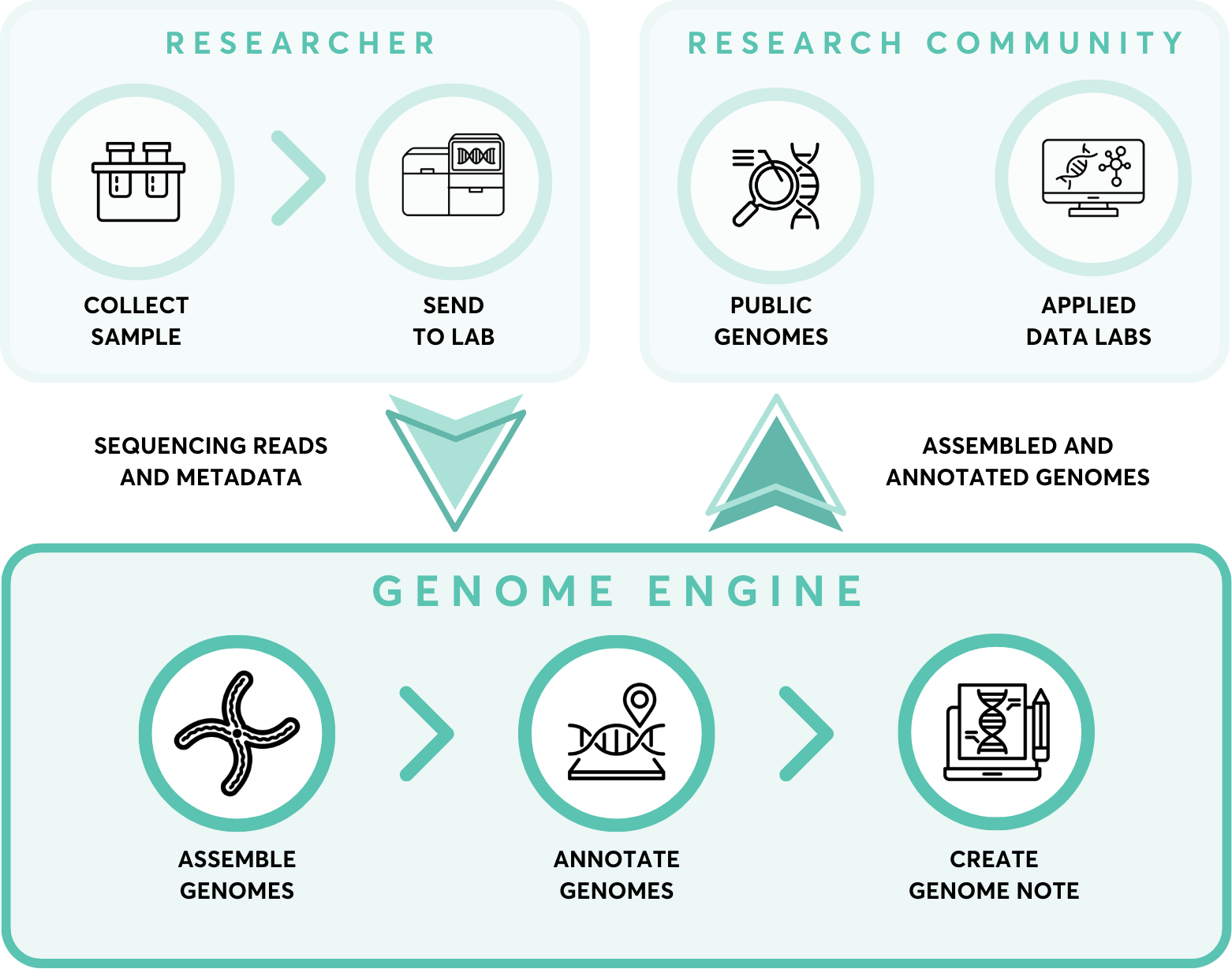 Australian Tree of Life — Australian BioCommons