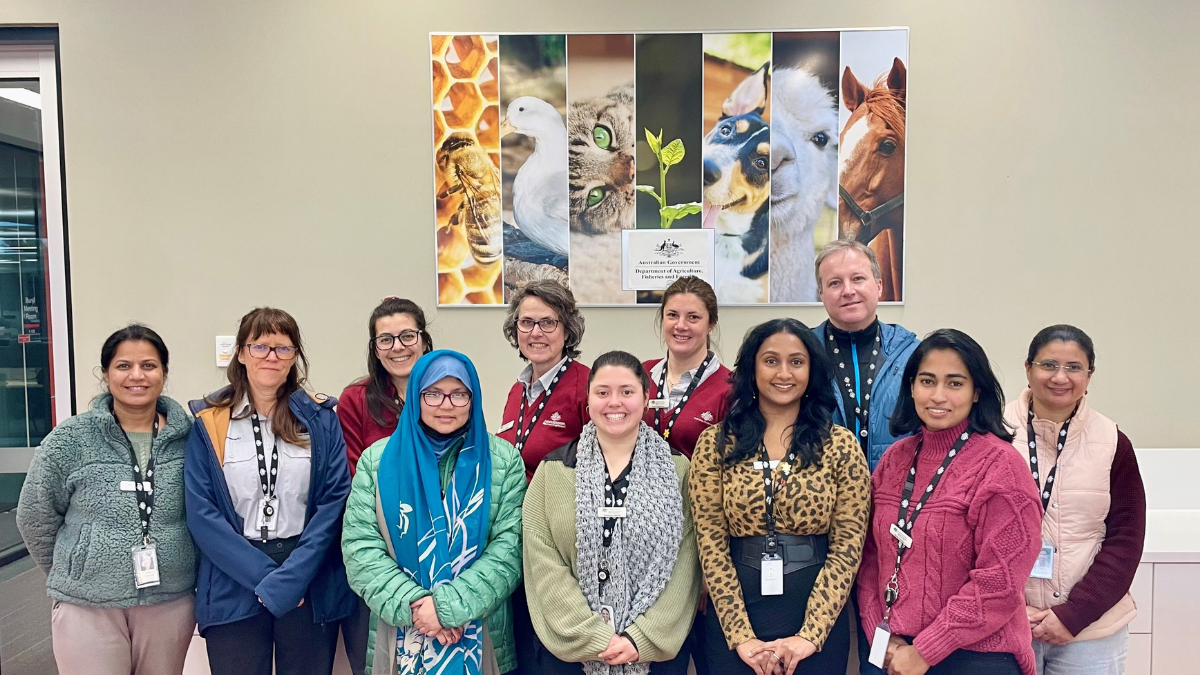 Bioinformatics innovations helping keep Australia safe from plant-borne ...