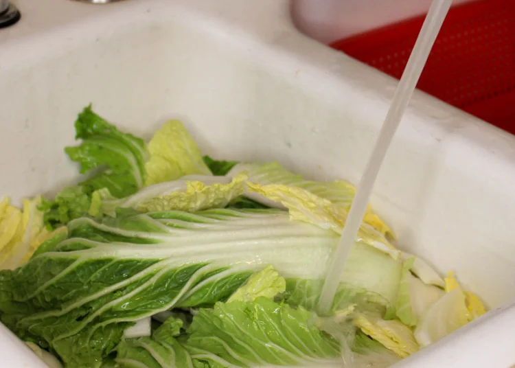 Mom's Traditional Kimchi | Authentic Recipe — ahnest kitchen