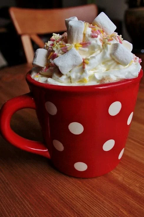 Cooking Classes — Brunswick Kitchen