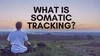 What is Somatic Tracking? — PainOutsideTheBox