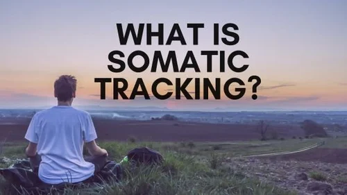 What is Somatic Tracking? — PainOutsideTheBox