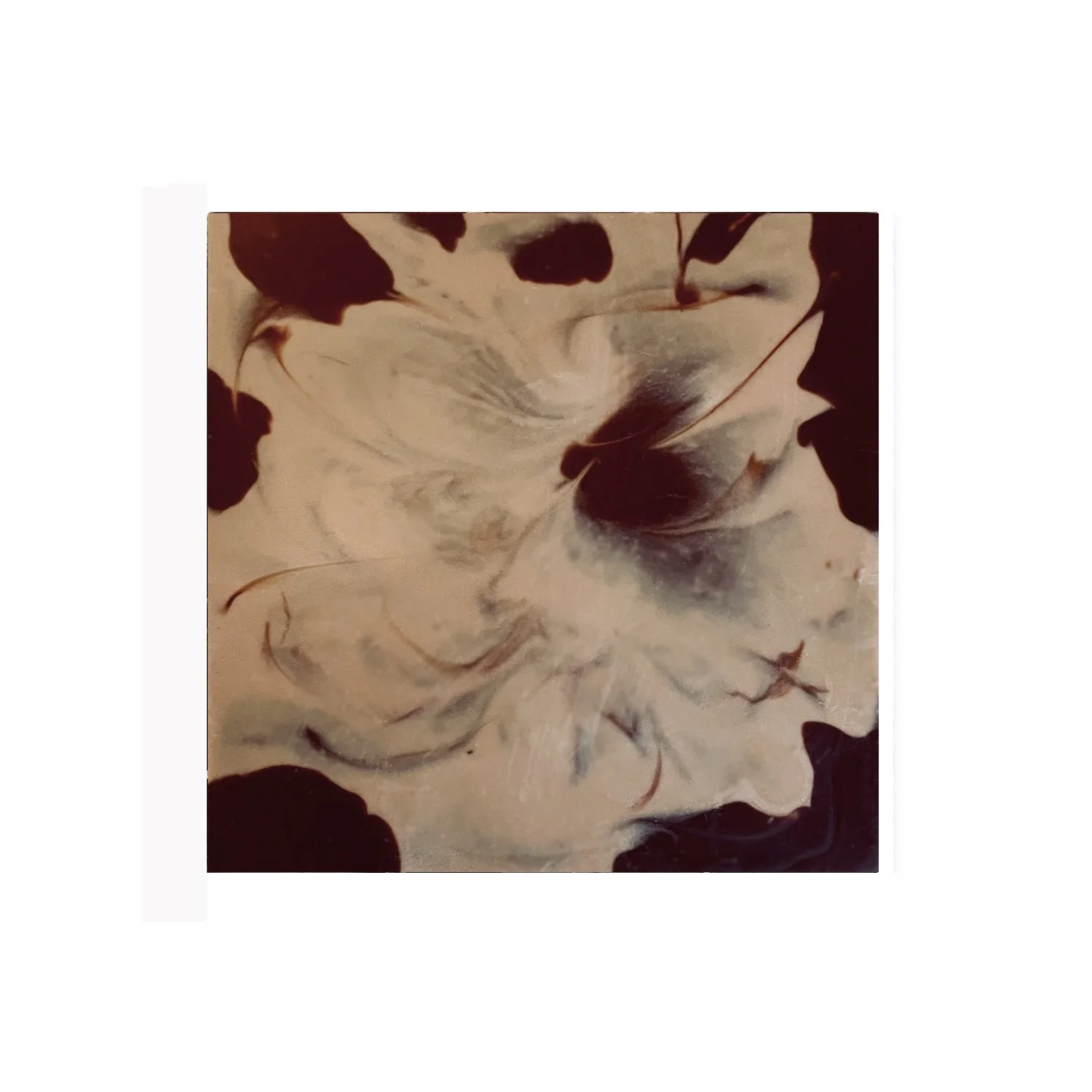 Cha Cha Chai — The Underground Truffle