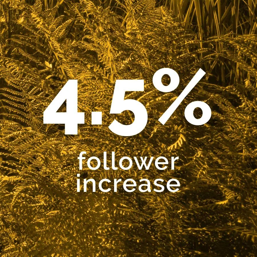 Bottle digital PR case study | PPL PRS and Mr Plant Geek — Bottle ...