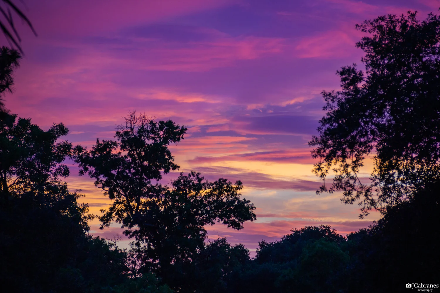Cotton Candy Sunset