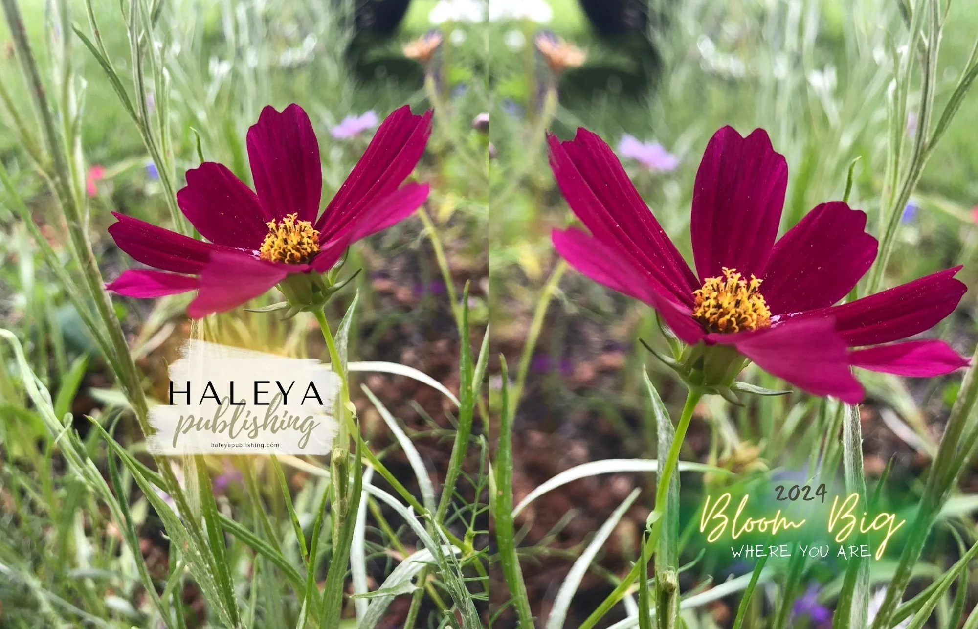 Journals & 2023 Planners — HALEYA PUBLISHING