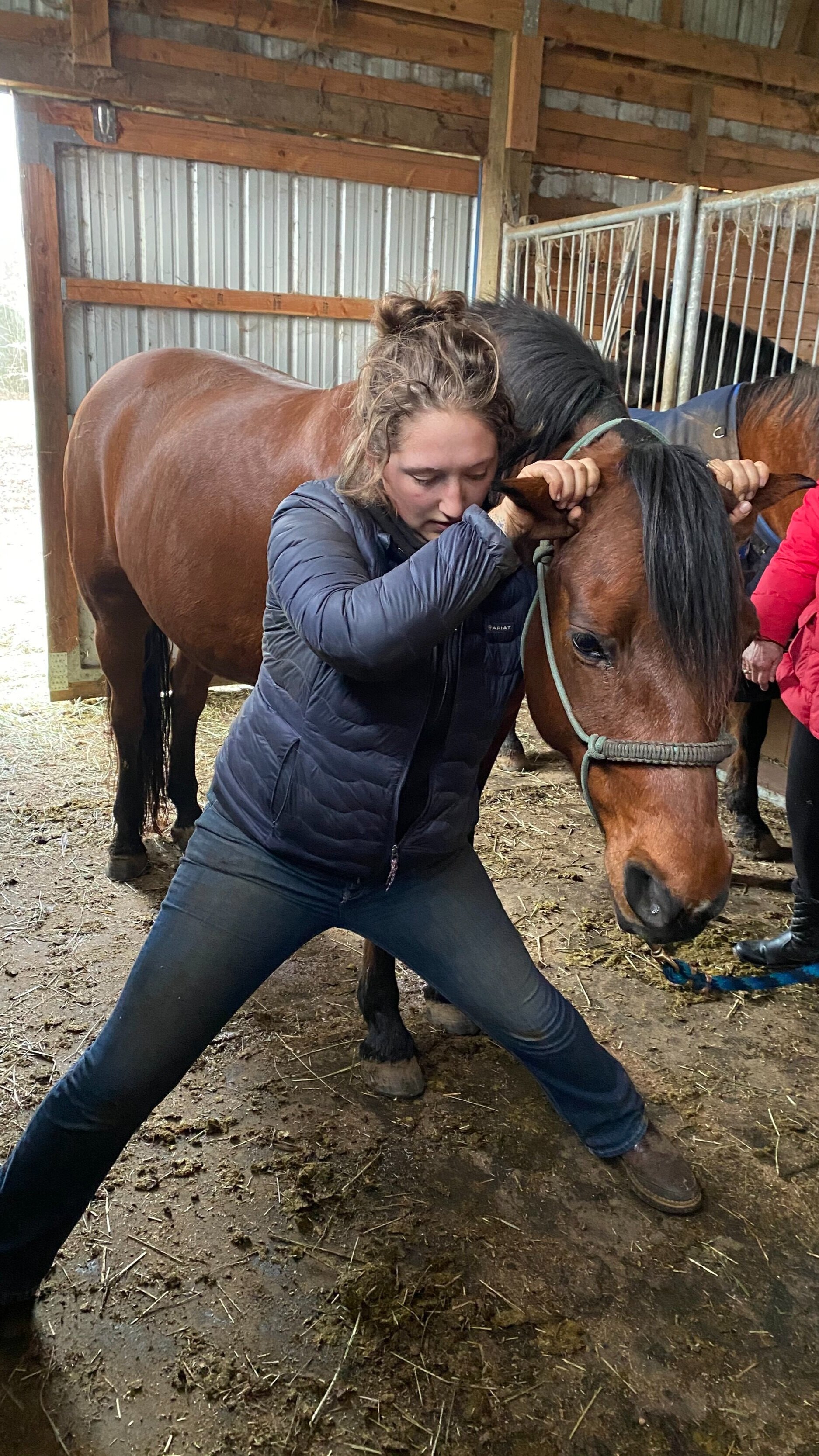 FAQ — Balancing Point Equine Body Work