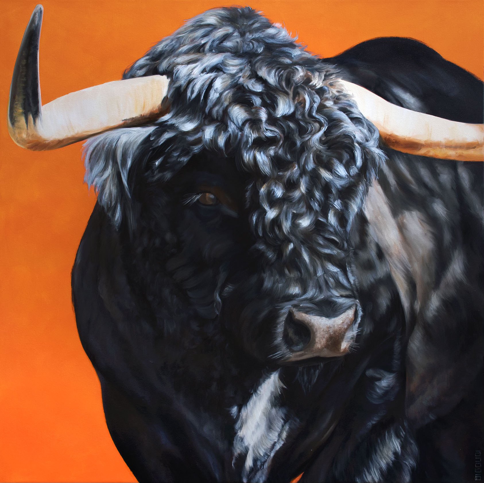 Featured Artists — Concourse By Elevation Gallery