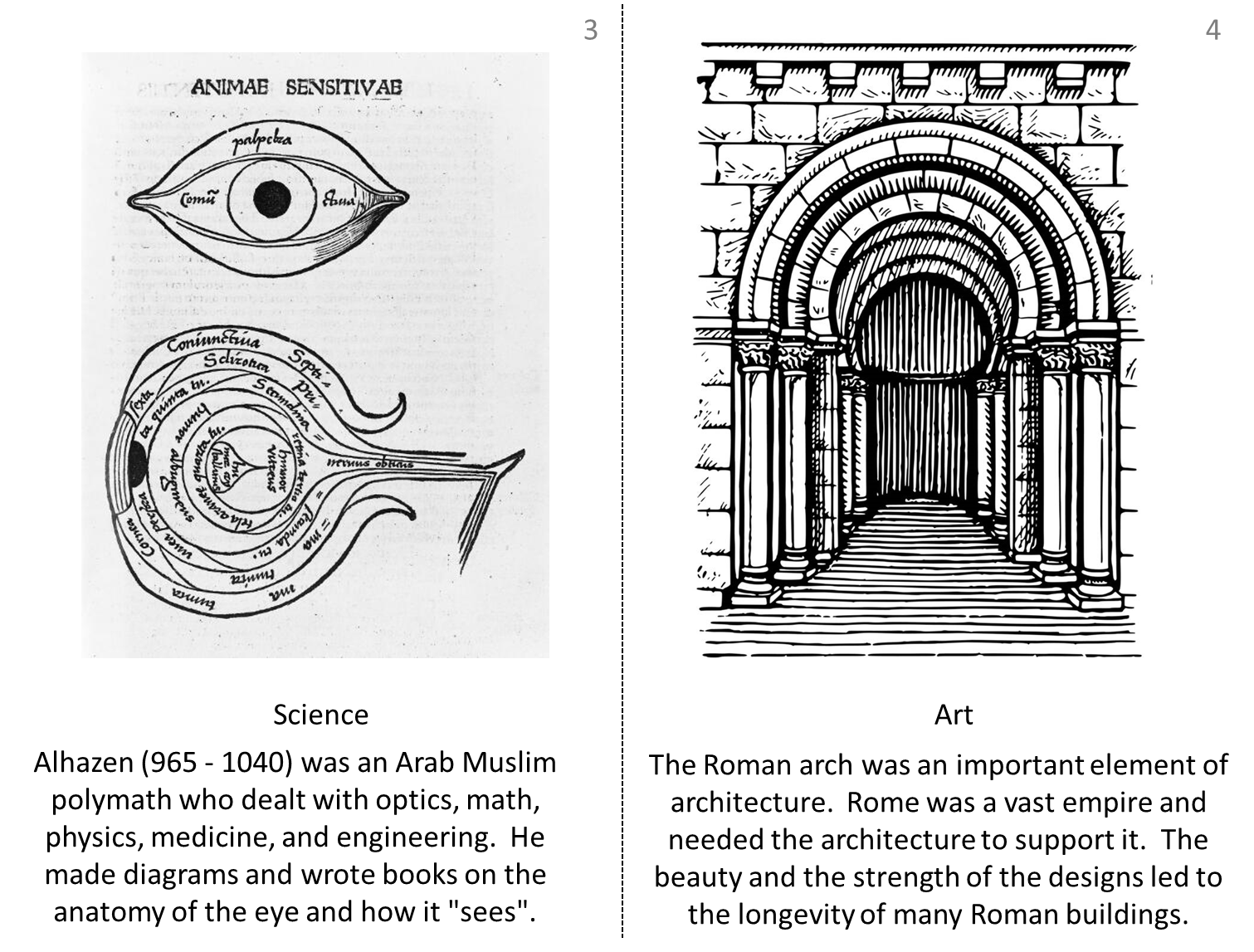 Homeschool Curriculum — Beth Smith Studio