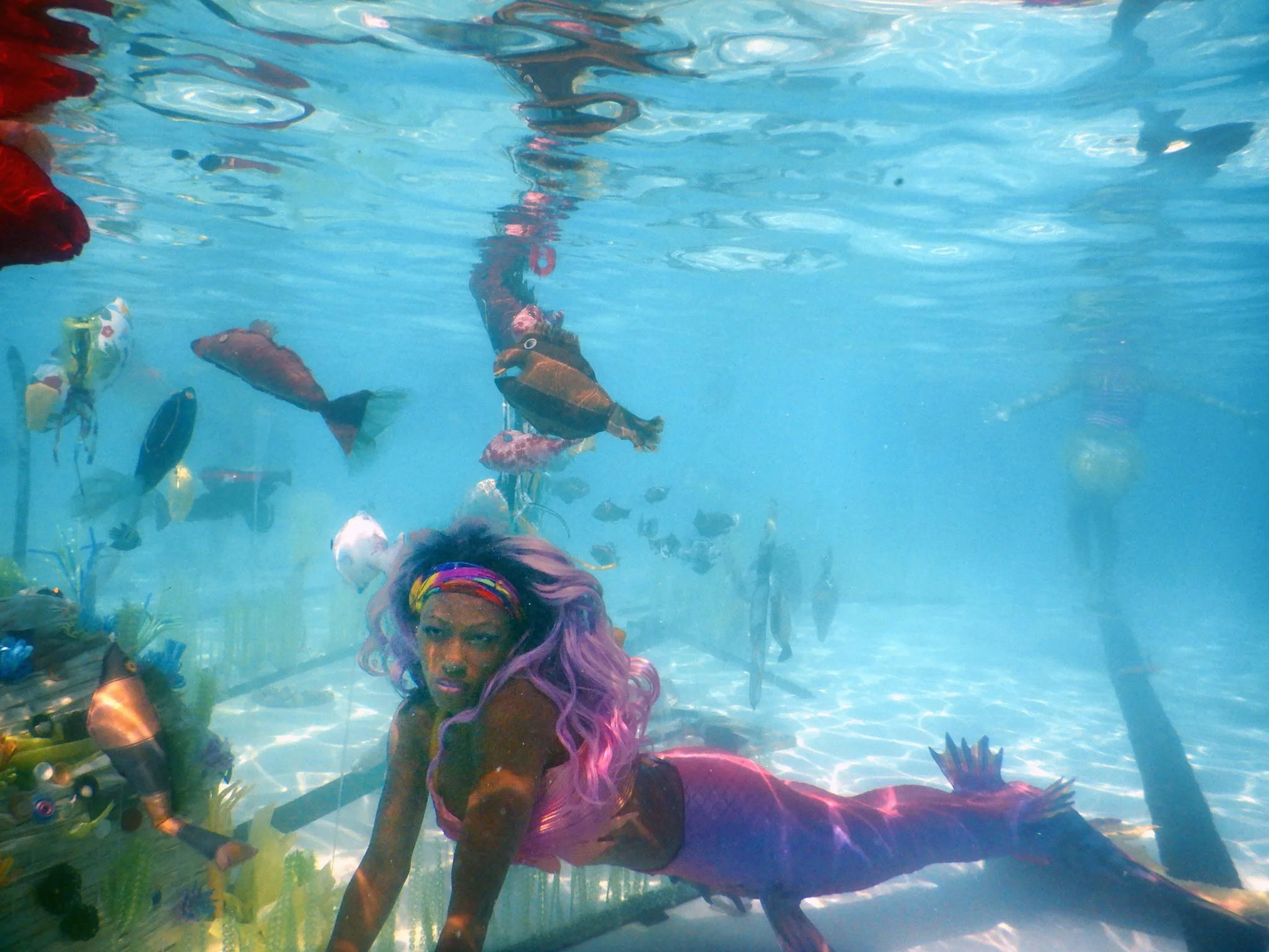 Coral Reef Encounter