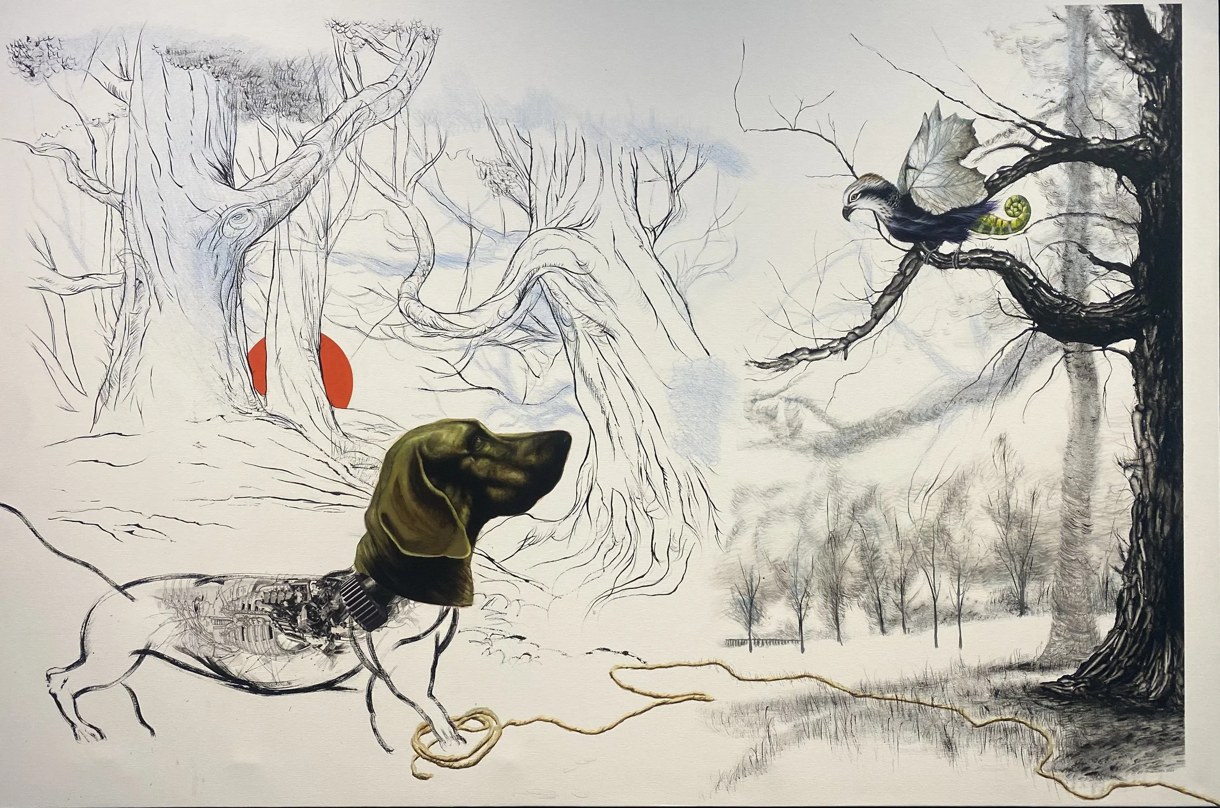 Lyle. O Reitzel Gallery
