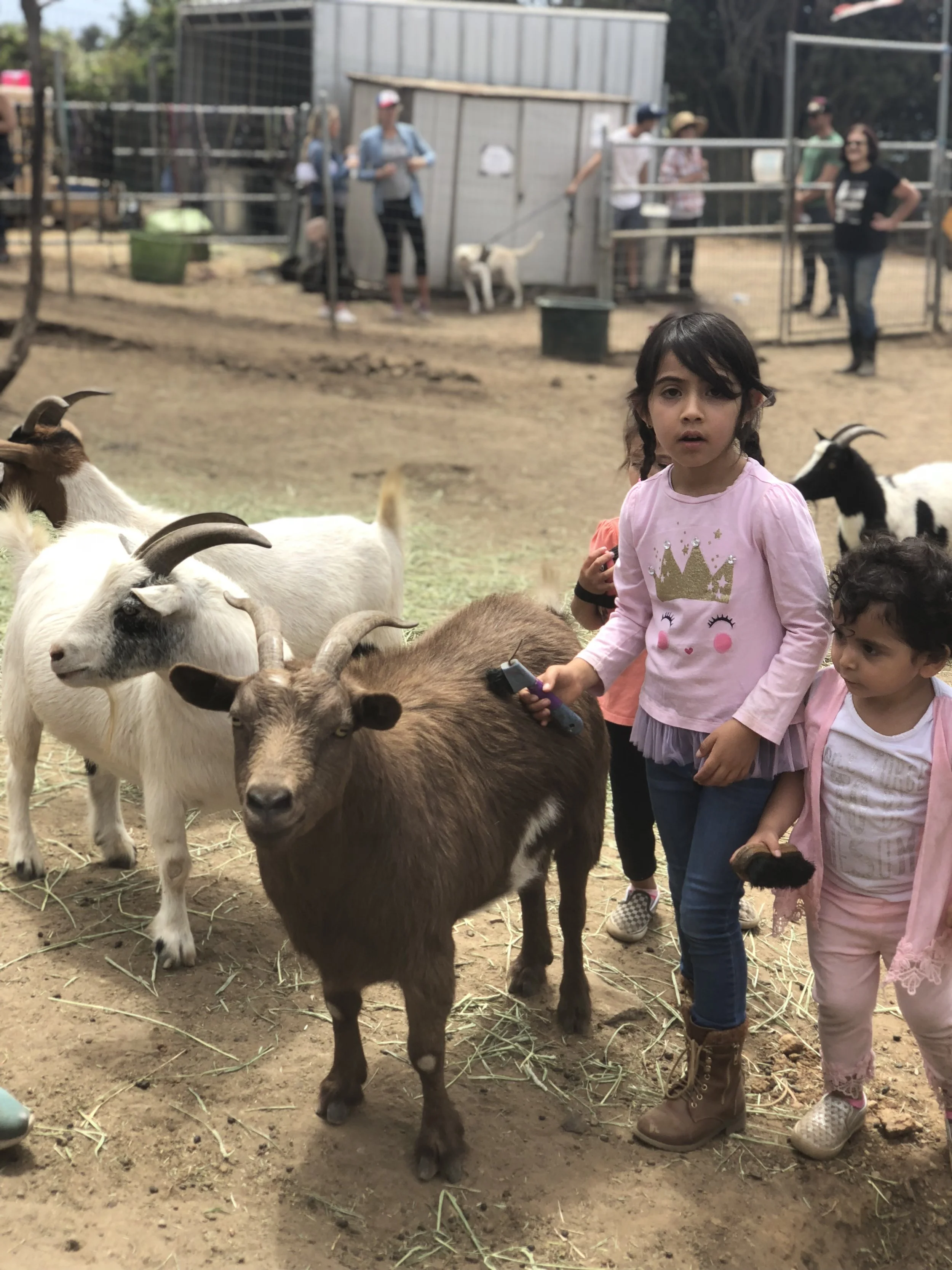 Our Story — Big Heart Ranch