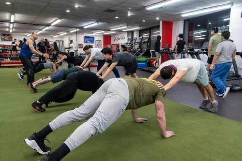 Different Breed Elite Fitness