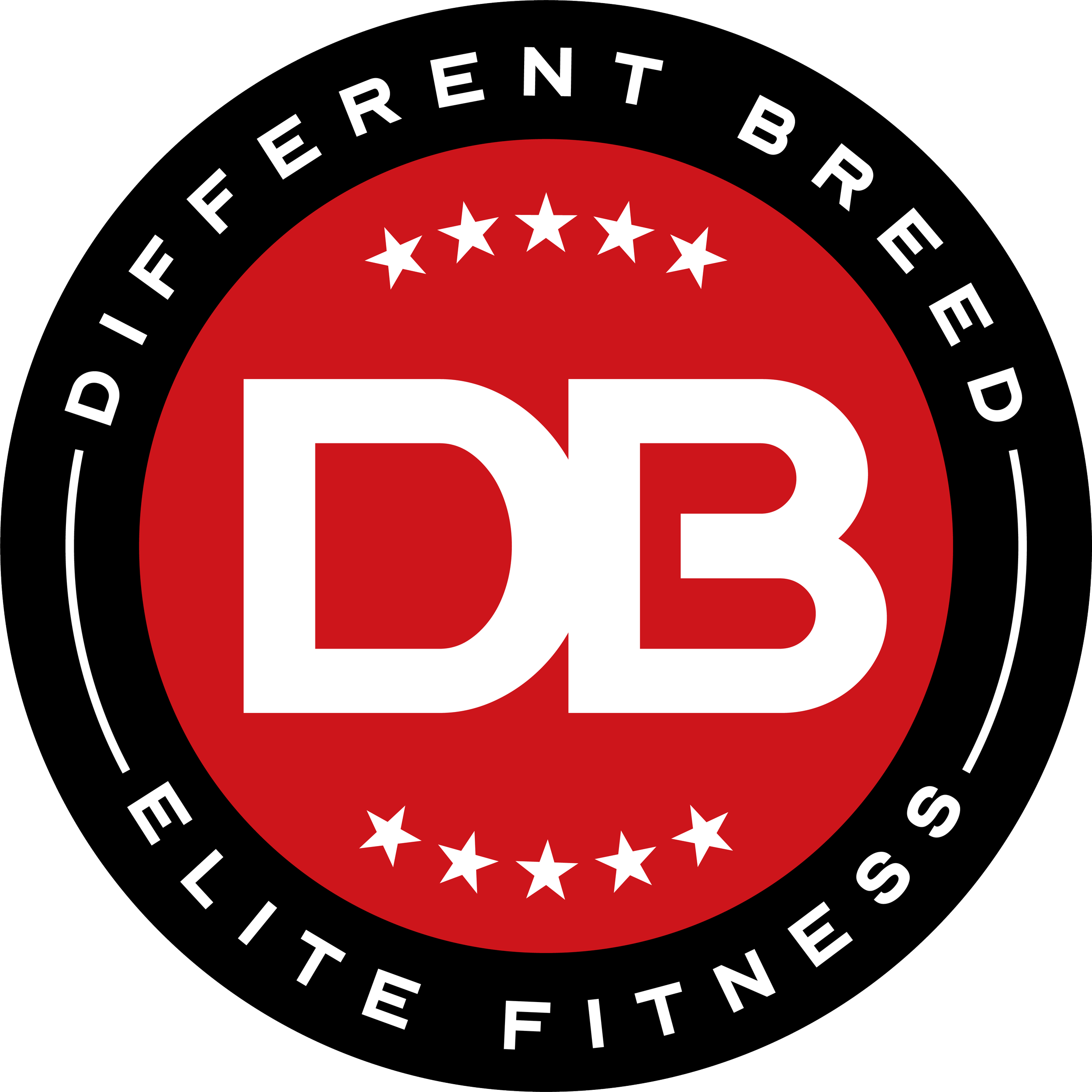 Different Breed Elite Fitness