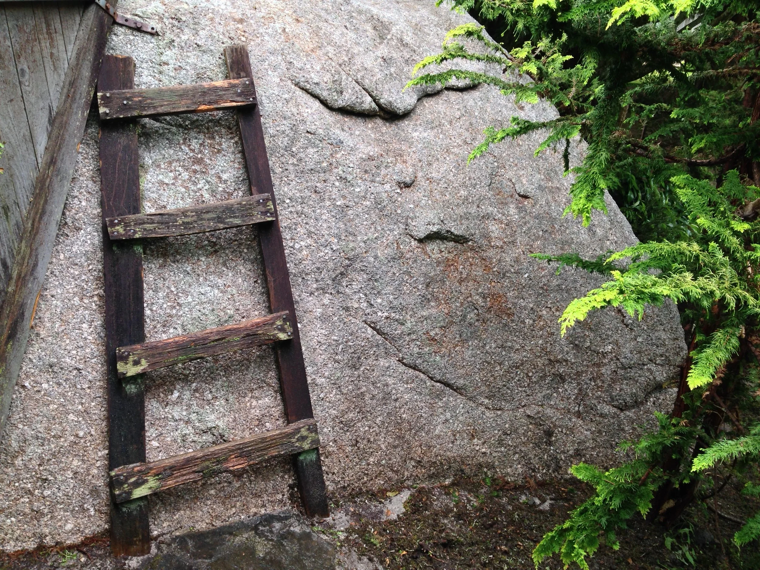 Our Work — DAPrDAN