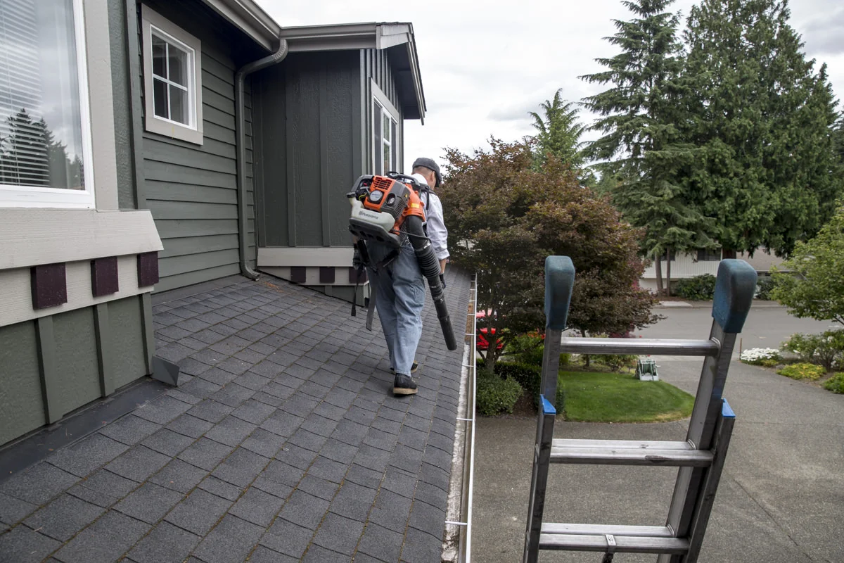 Our Work — DAPrDAN