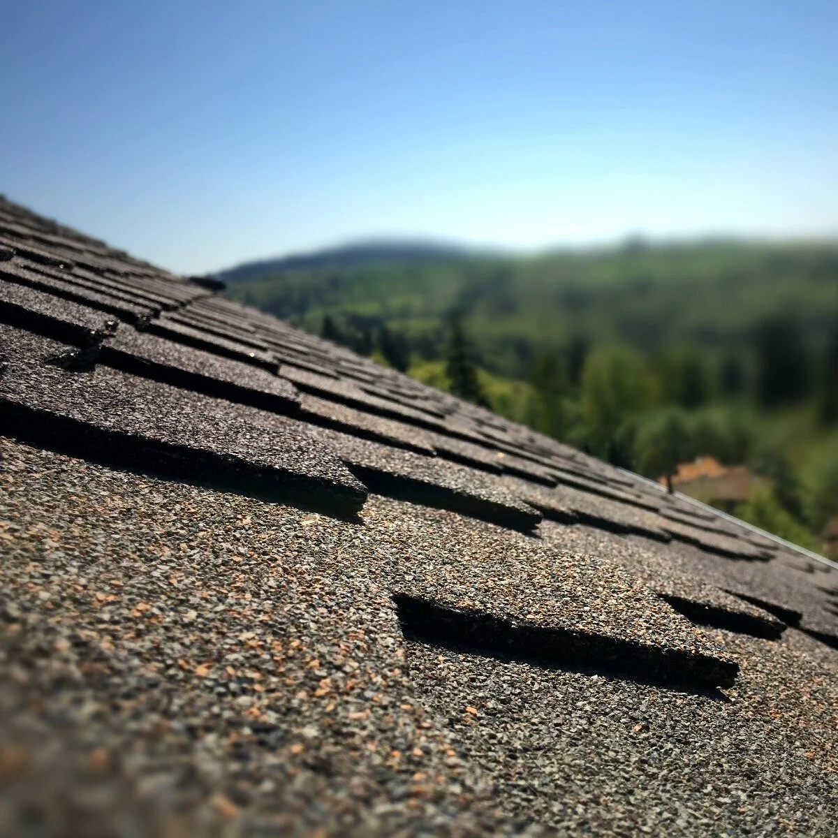 Seattle Roof Cleaning & Moss Removal — DAPrDAN