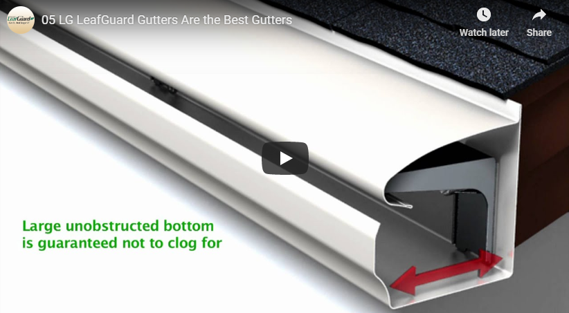 Review of Gutter Guards & Filters — DAPrDAN