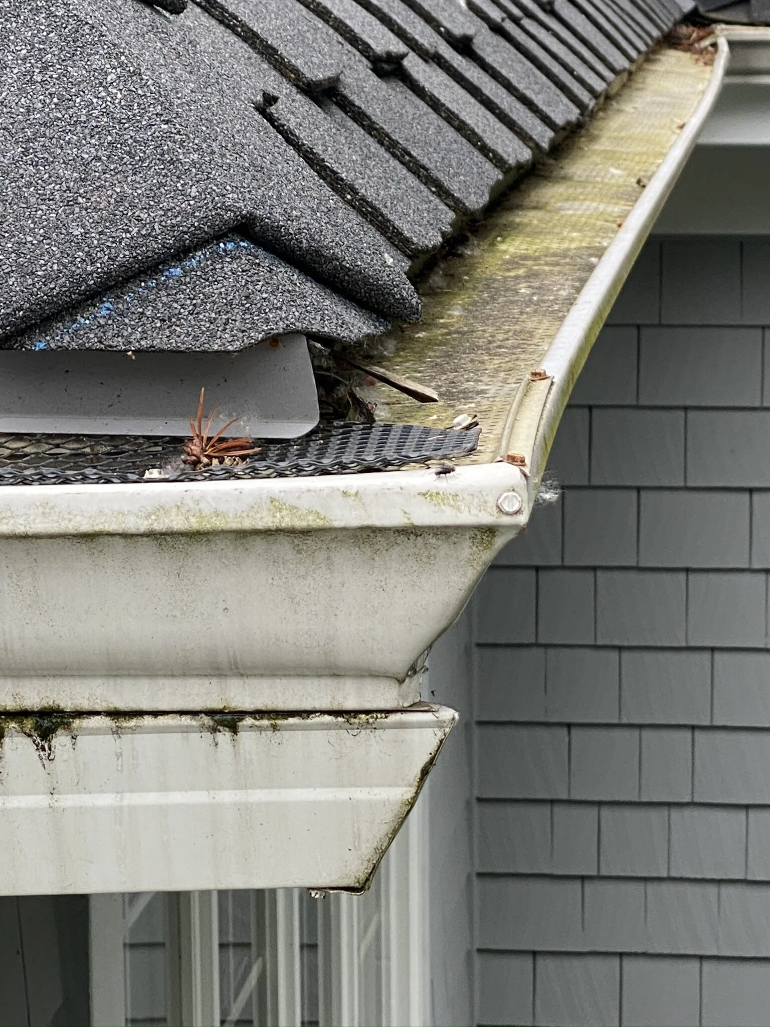 Review of Gutter Guards & Filters — DAPrDAN