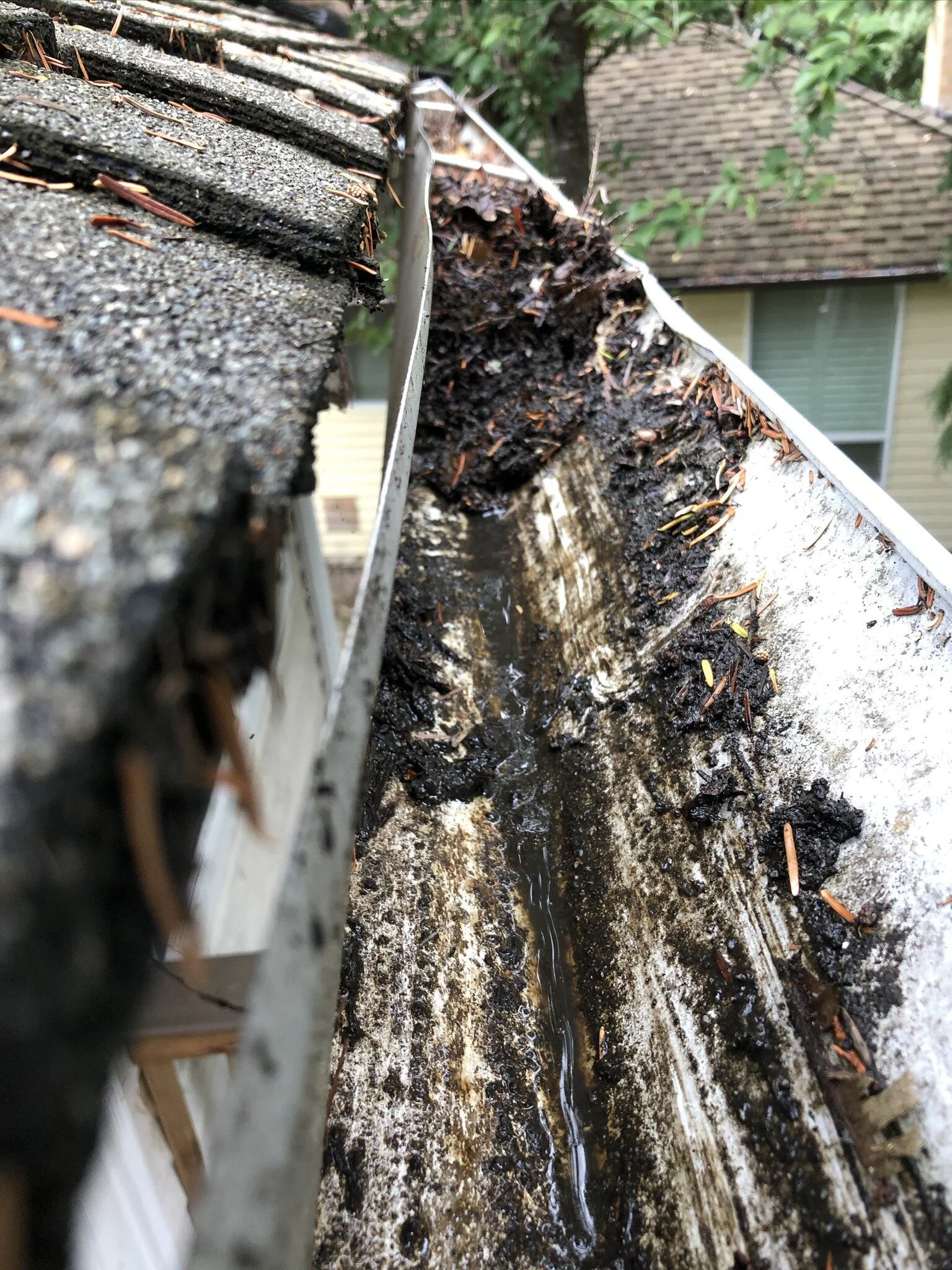 Review of Gutter Guards & Filters — DAPrDAN