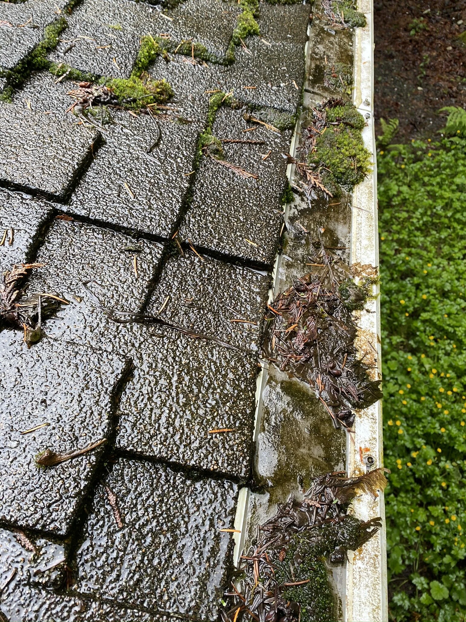 Review of Gutter Guards & Filters — DAPrDAN