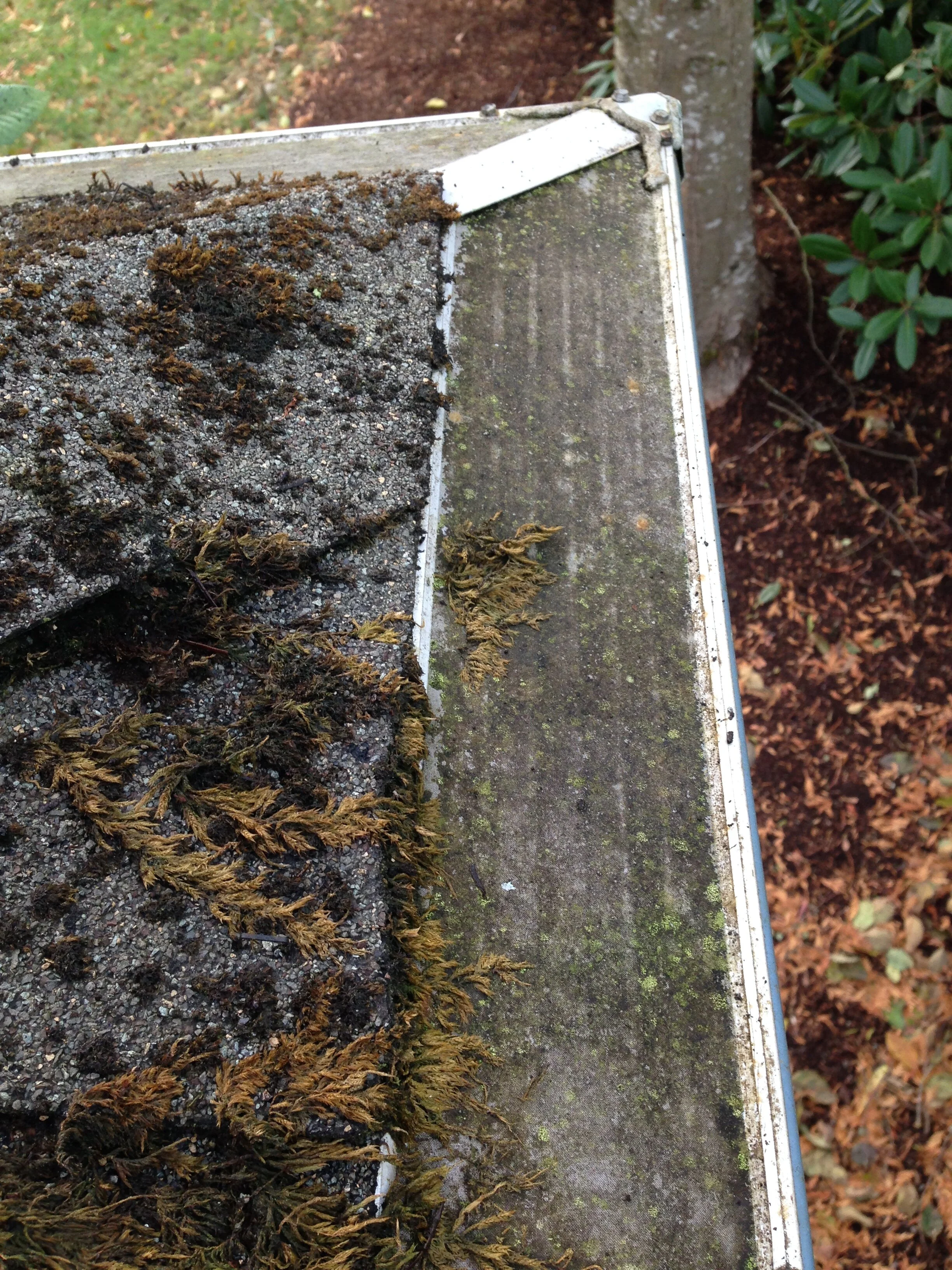 Review of Gutter Guards & Filters — DAPrDAN