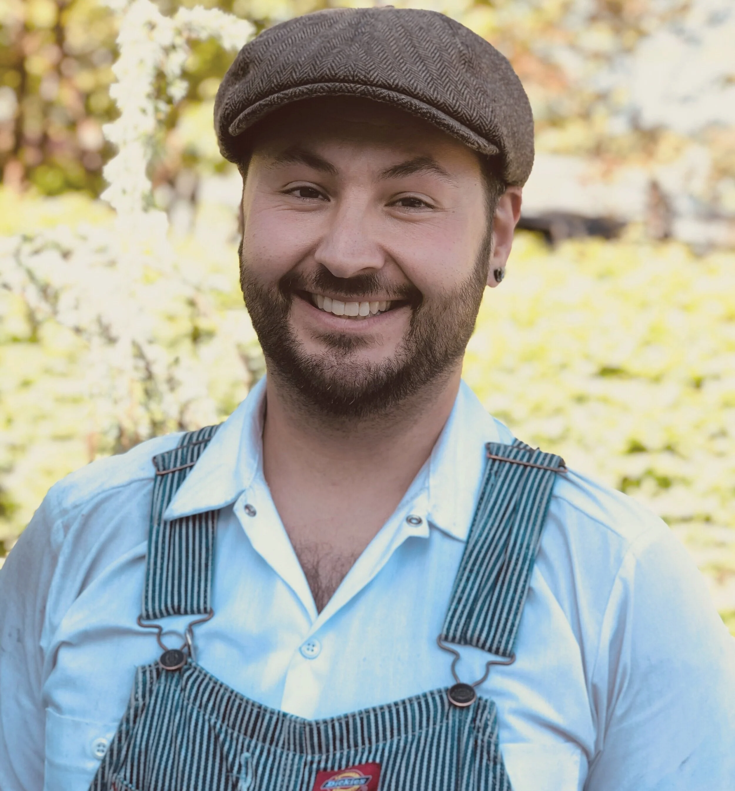 Apply with DAPrDAN — DAPrDAN