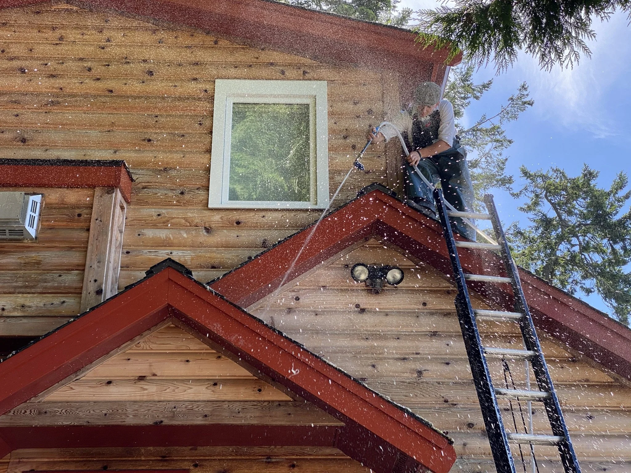 September Splendor: 7 Reasons Why Washing Your Home's Siding Should Top ...