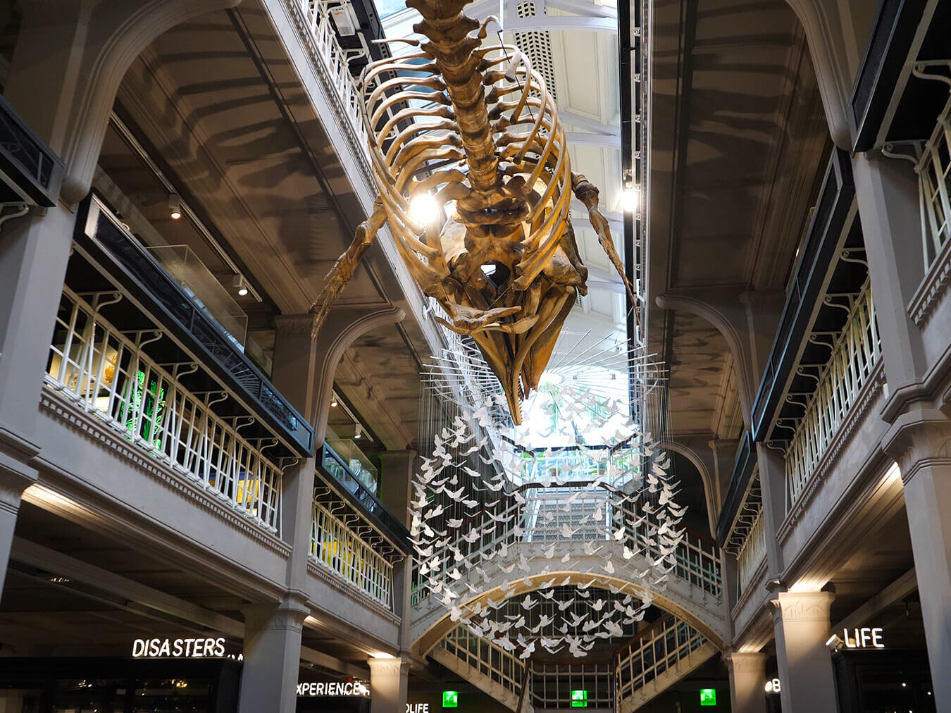 Discover Manchester Museum's Story with Curator David Gelsthorpe ...