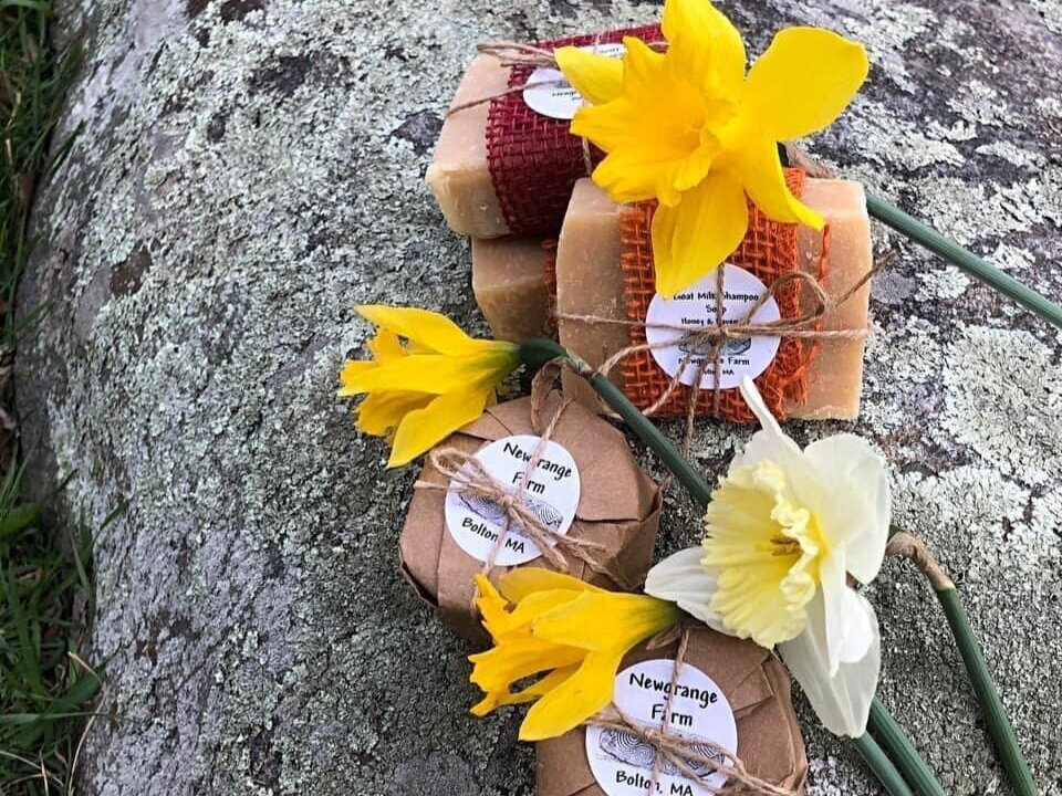 Meet Our Members — Sudbury Art Association