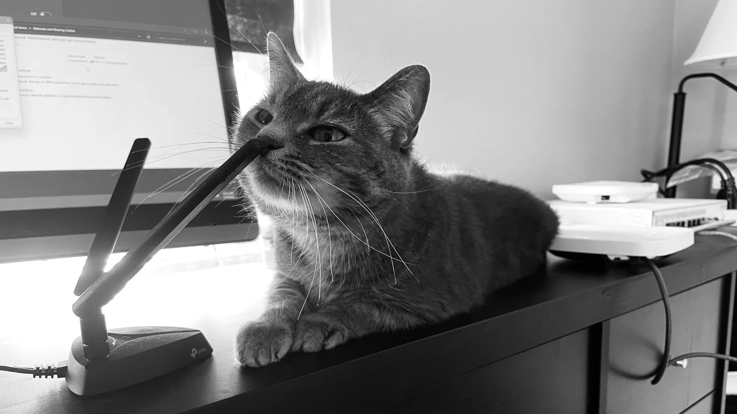 Zen and the Art of Home Networking — McCann Tech
