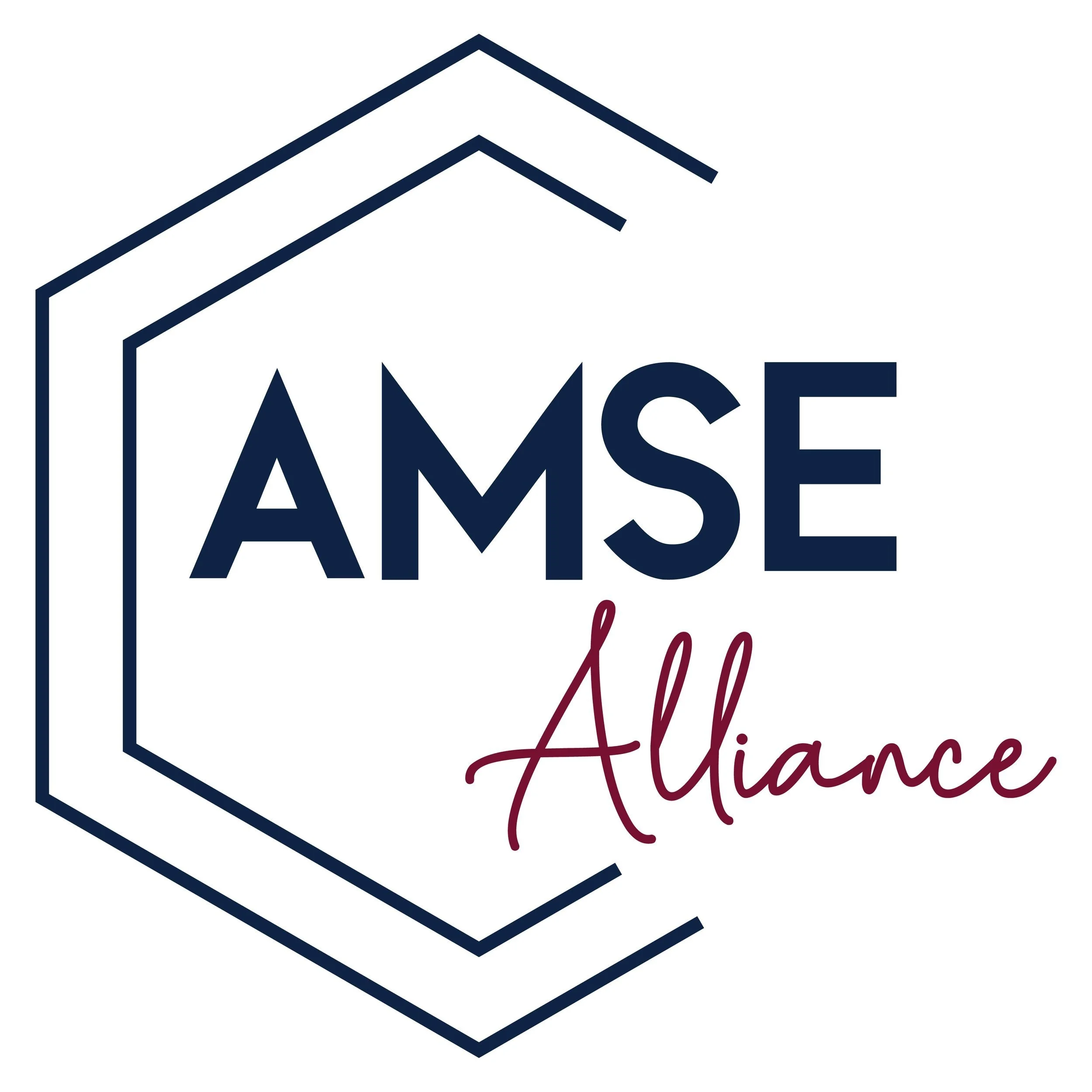 AMSE Alliance — Assoc. of Military Spouse Entrepreneurs